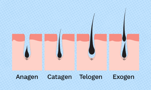 The Intricacies of Hair Growth: A Journey Through the Four Phases - REVIAN